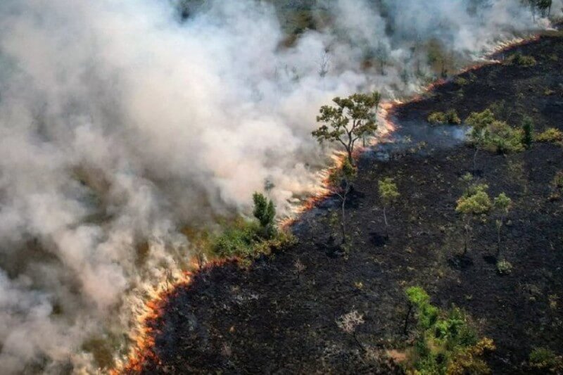 Pronosticaron “lluvias negras”